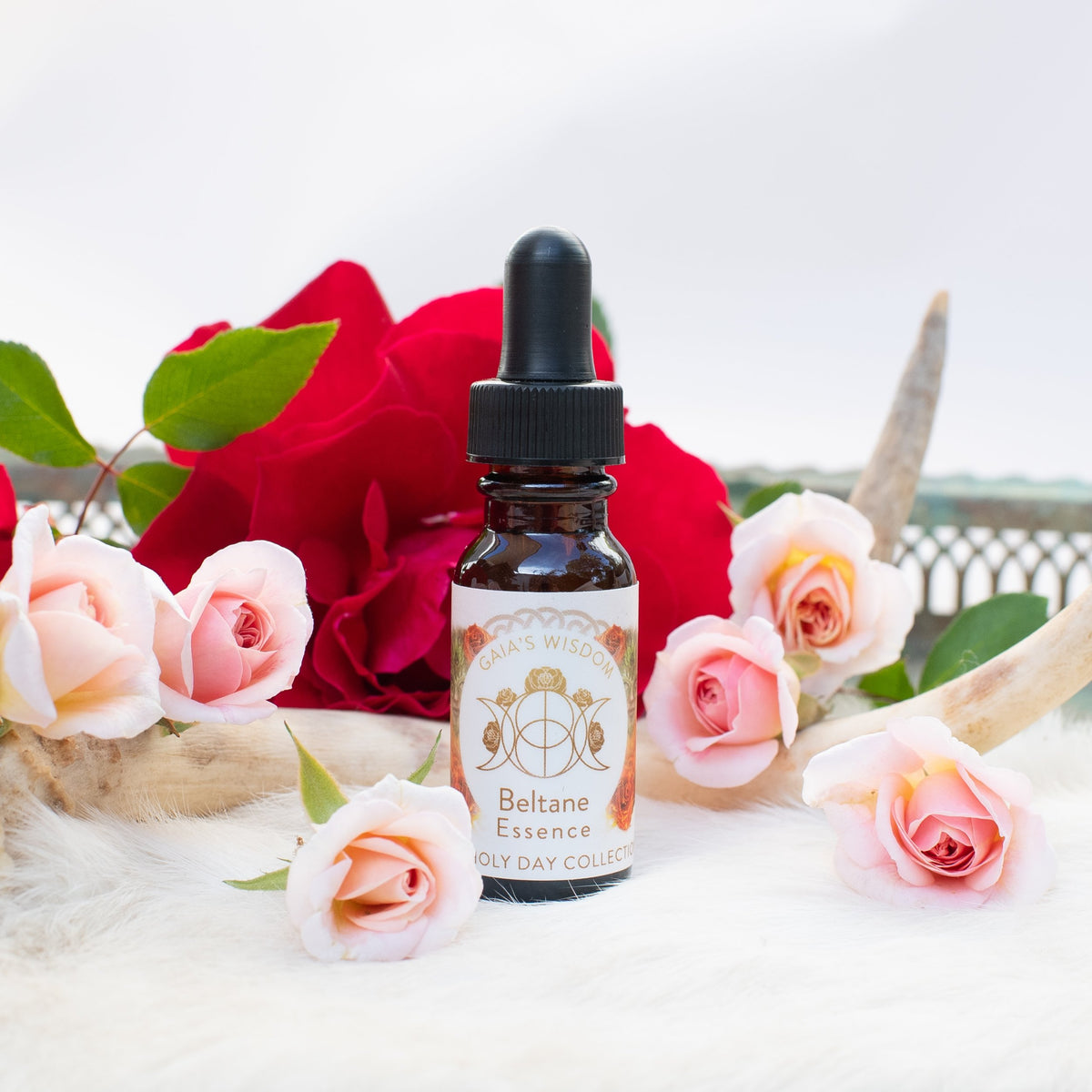 Beltane + Womb Essences – Priestesses Of The Rose Essences