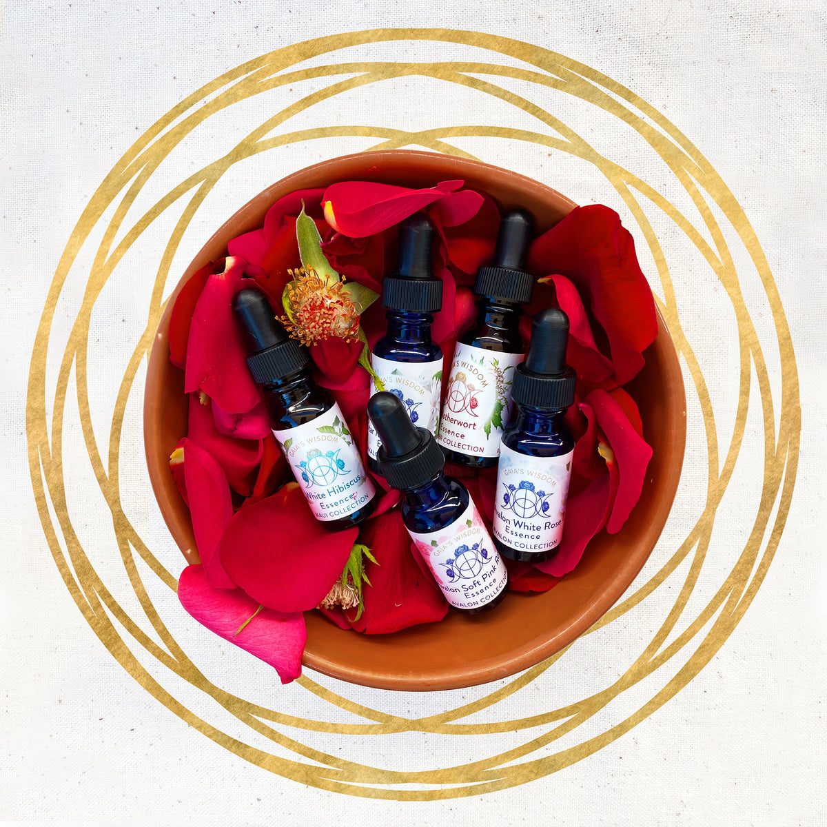 Venus Collection Kit – Priestesses Of The Rose Essences